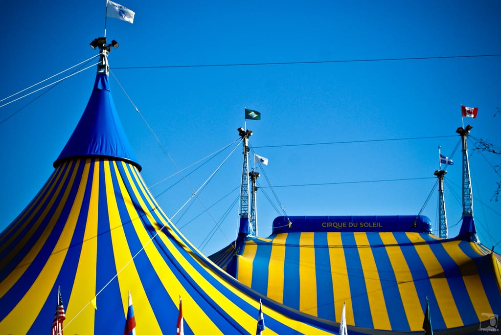 Circo Orfei: Fiumicino vieta spettacoli con animali. Montino ha ...