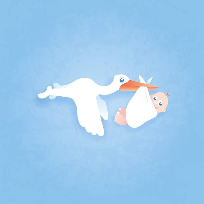 Ladispoli, benvenuto a Samuel Conte • Terzo Binario News