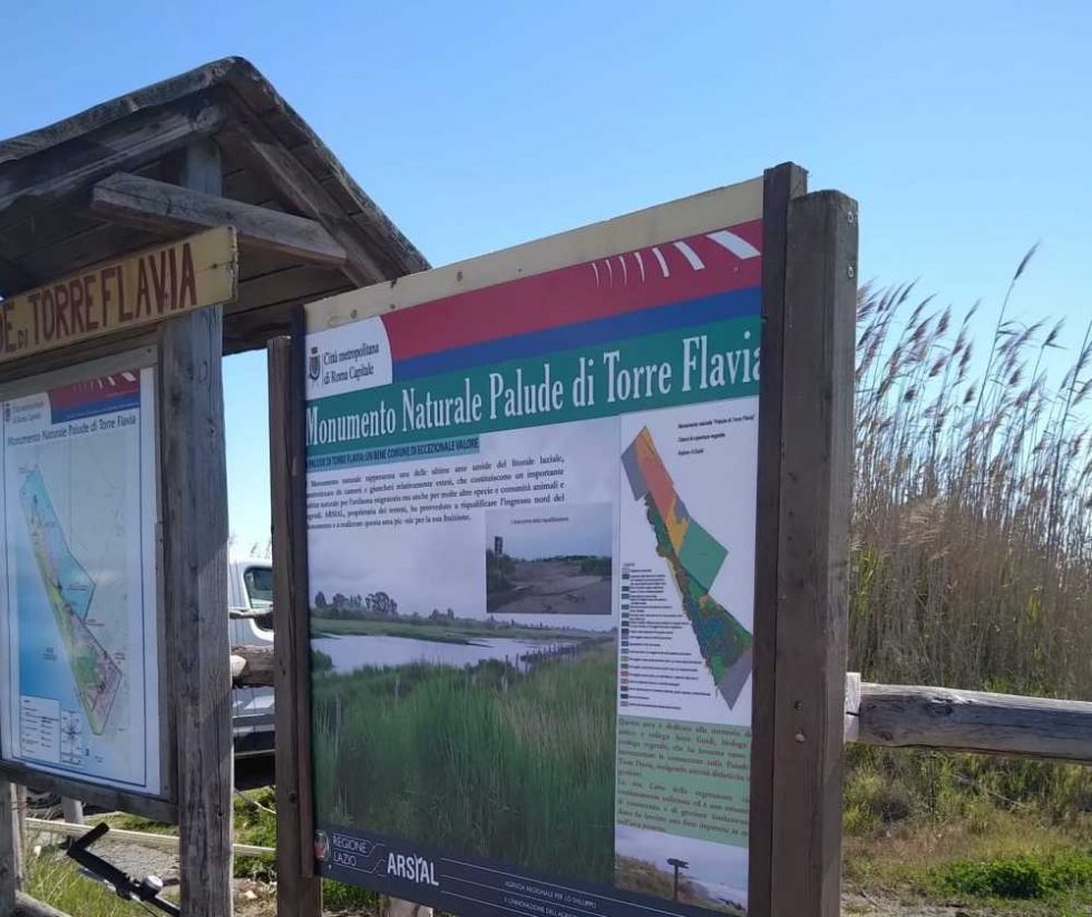 Home Page Litorale • Terzo Binario News