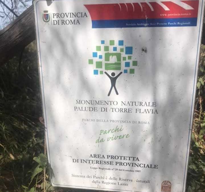 Escursioni gratuite a Torre Flavia nel progetto Isola del Tesoro ...