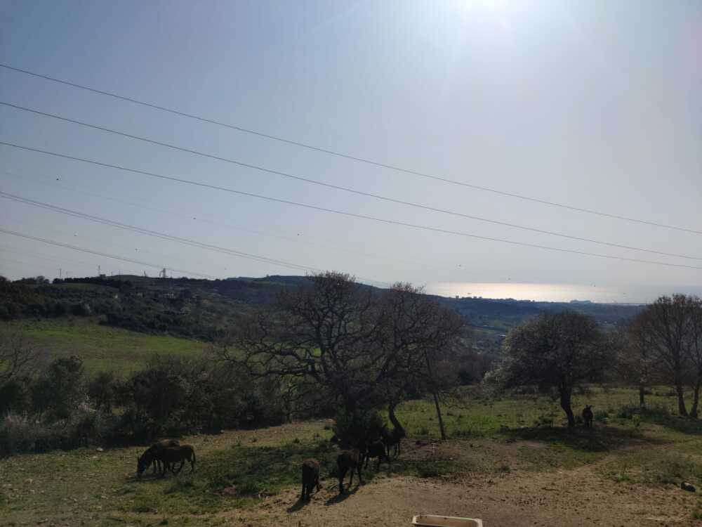 M5S Civitavecchia sugli usi civici: “Volontà o disinteresse dietro lo ...