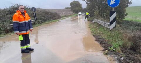 Incidente sulla Doganale di Cerveteri, auto in cunetta sulla strada ...