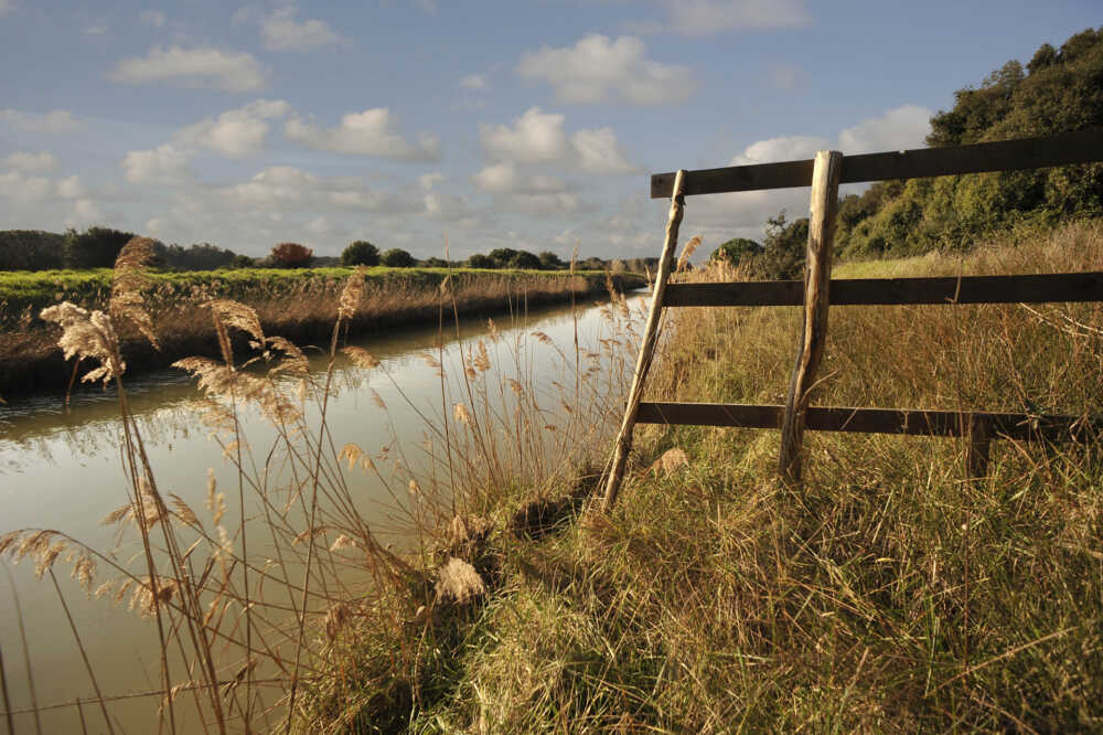 Riapre il Vivaio Maccarese: domenica caccia al tesoro alla scoperta ...