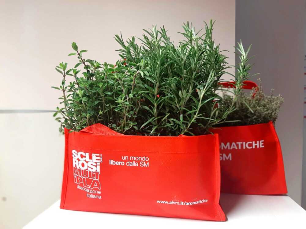 Sclerosi Multipla, le Erbe Aromatiche di Aism alla Fiera dei Saperi e ...