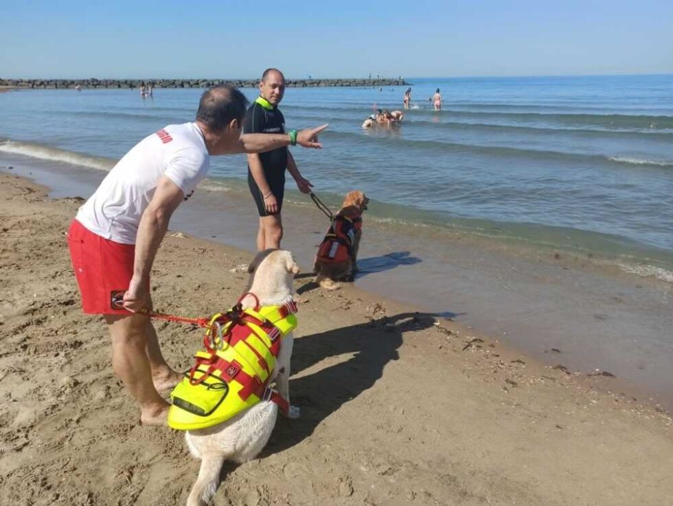 Spiagge Sicure a Ladispoli, posizionate le torrette • Terzo Binario News